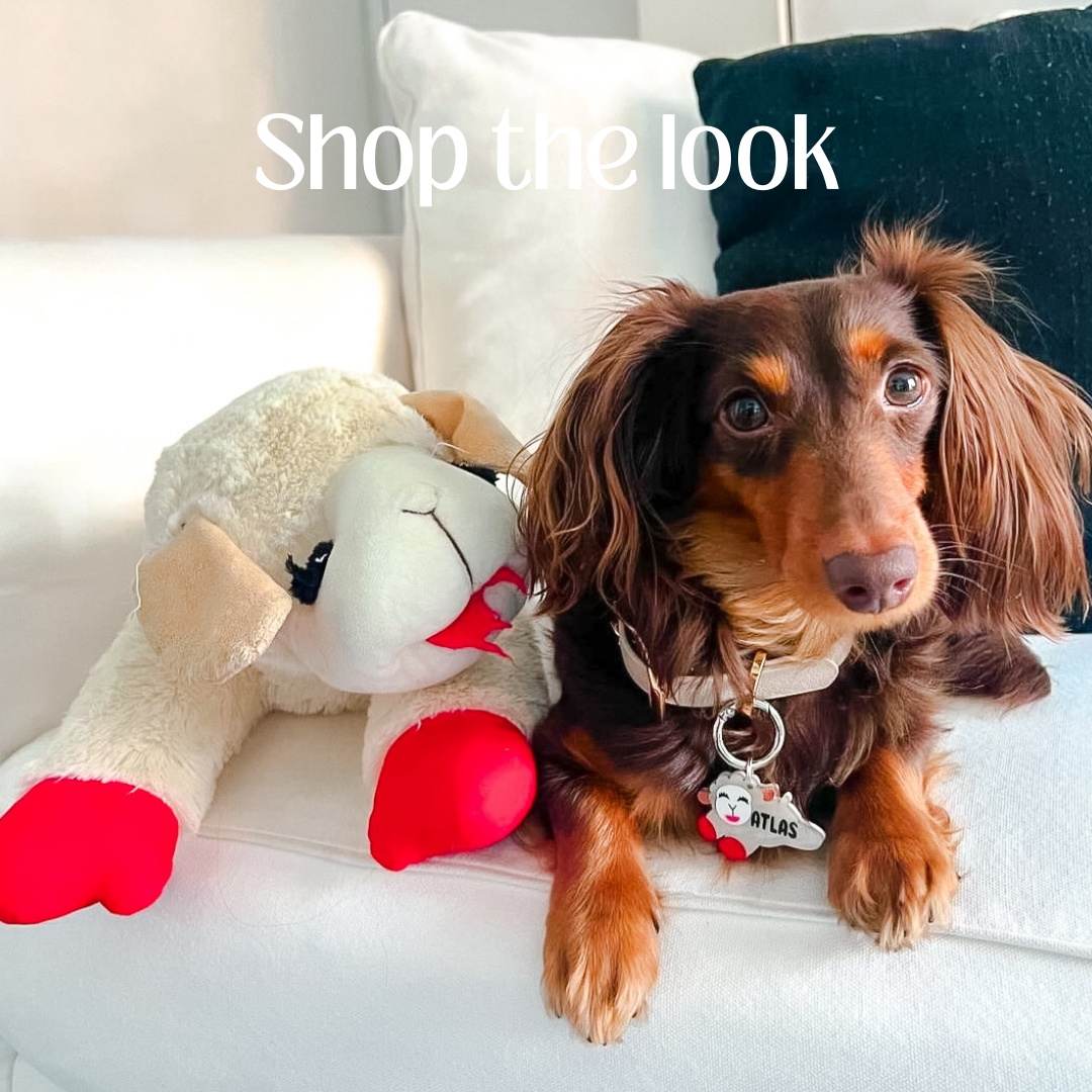 Pet Tags | Doze of D Vibe – Dozeofdvibe